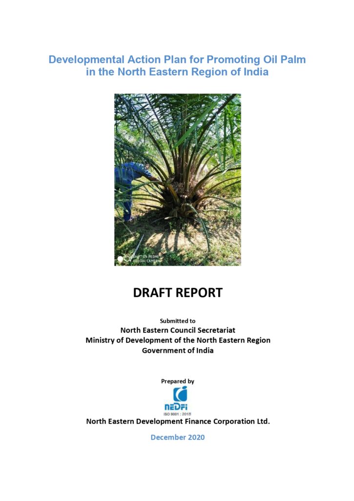 TEDF Studies - NEDFi