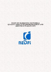 Homepage - NEDFi