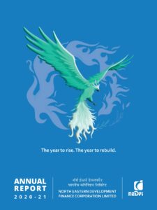 Annual Reports - NEDFi