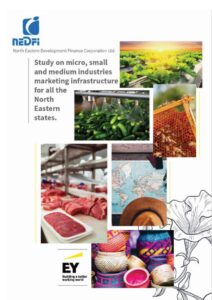 TEDF Studies - NEDFi