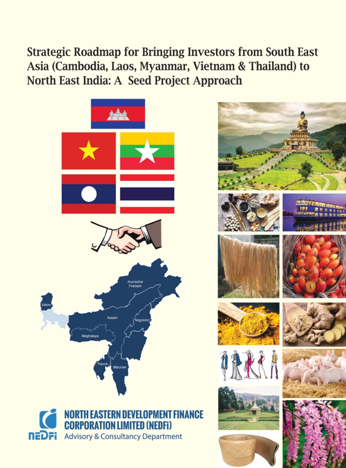 TEDF Studies - NEDFi