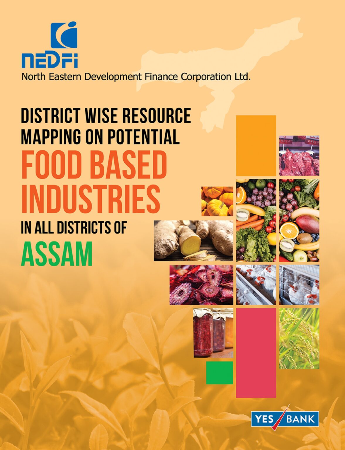 DISTRICT WISE RESOURCE MAPPING ON POTENTIAL FOOD BASED INDUSTRIES IN ...