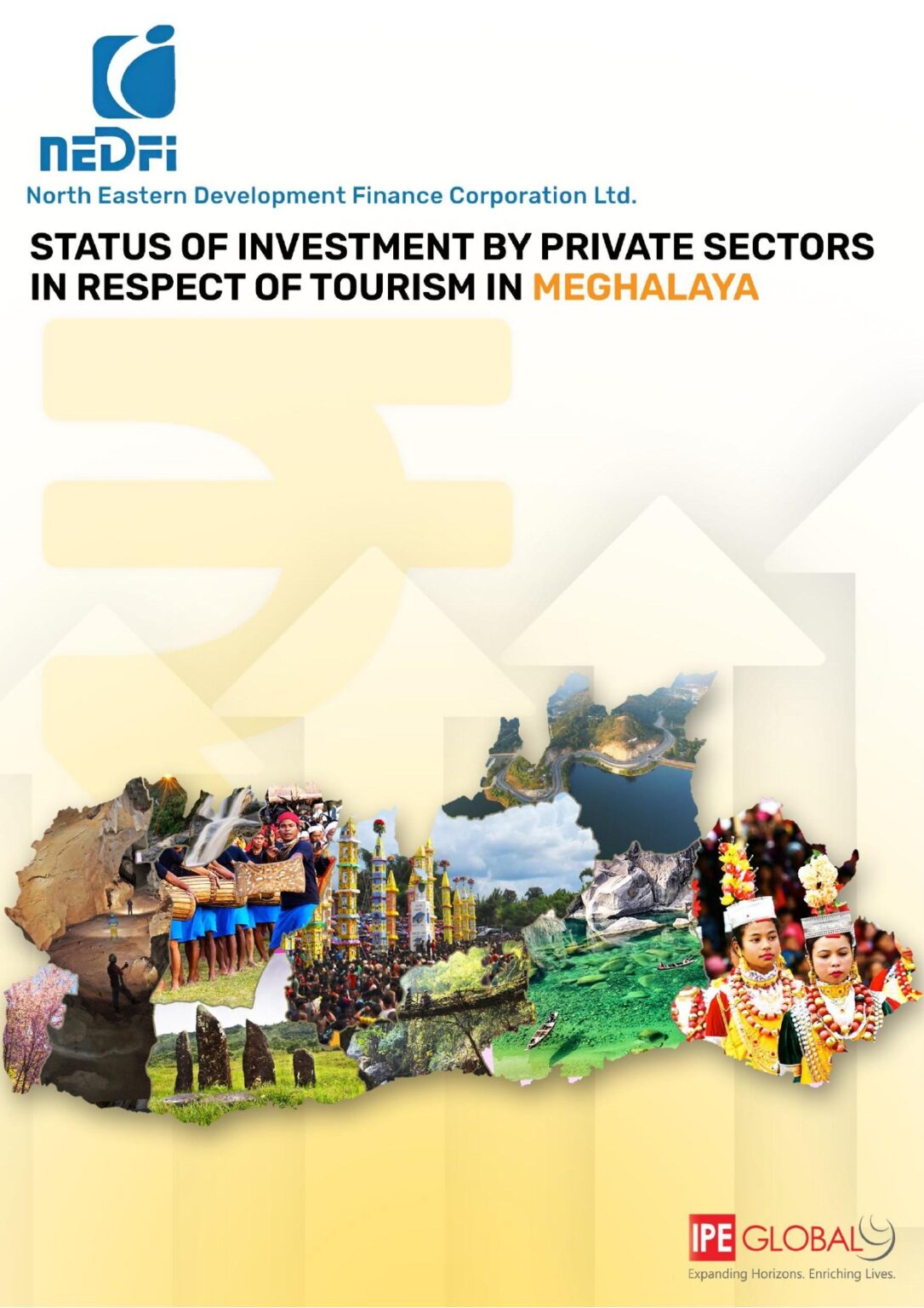 TEDF Studies - NEDFi